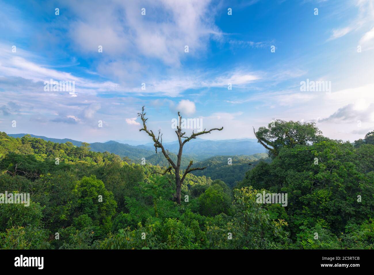 Top view landscape mountain and blue sky and beautiful clouds Stock ...