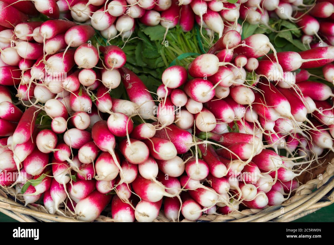 Many fresh radishes on the street market Stock Photo - Alamy
