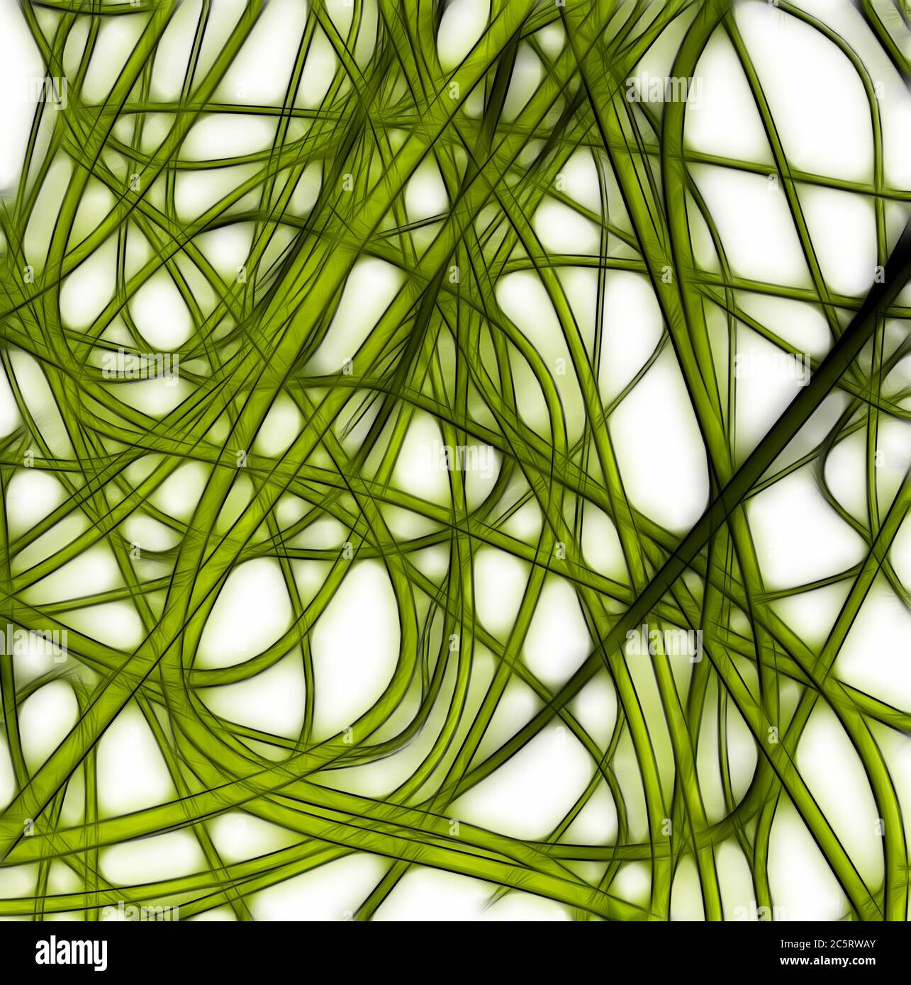 Green abstract cables line isolated on white background Stock Photo - Alamy