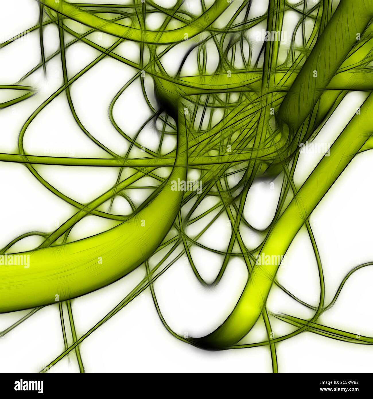 Green abstract cables line isolated on white background Stock Photo - Alamy