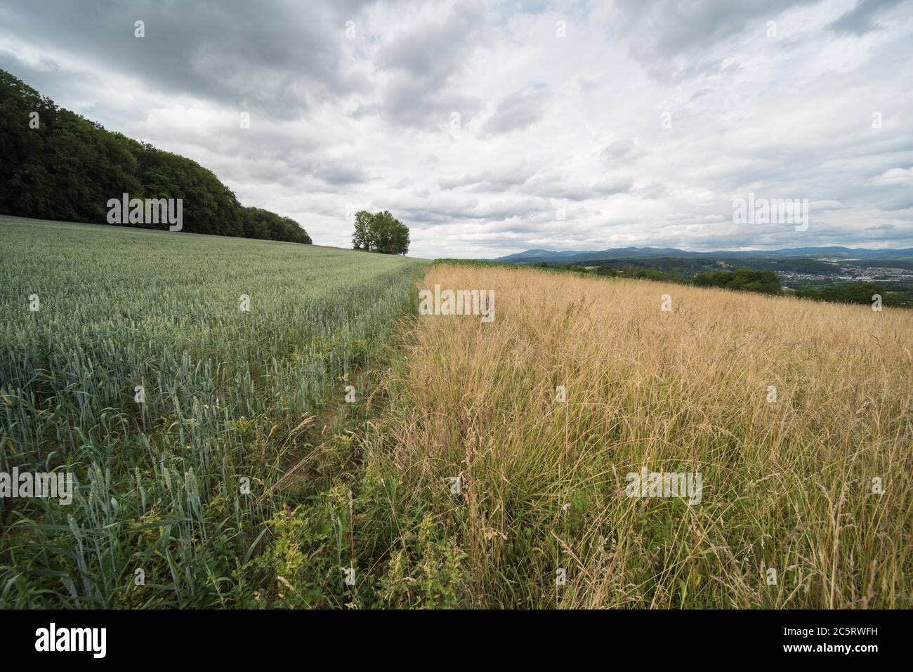 nature landscape in southern germany wit big clouds, near lörrach Stock ...