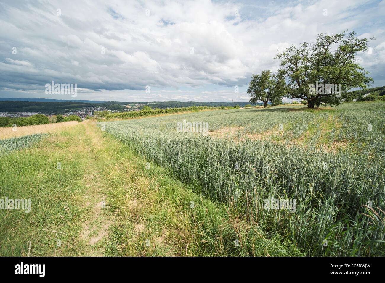 nature landscape in southern germany wit big clouds, near lörrach Stock ...