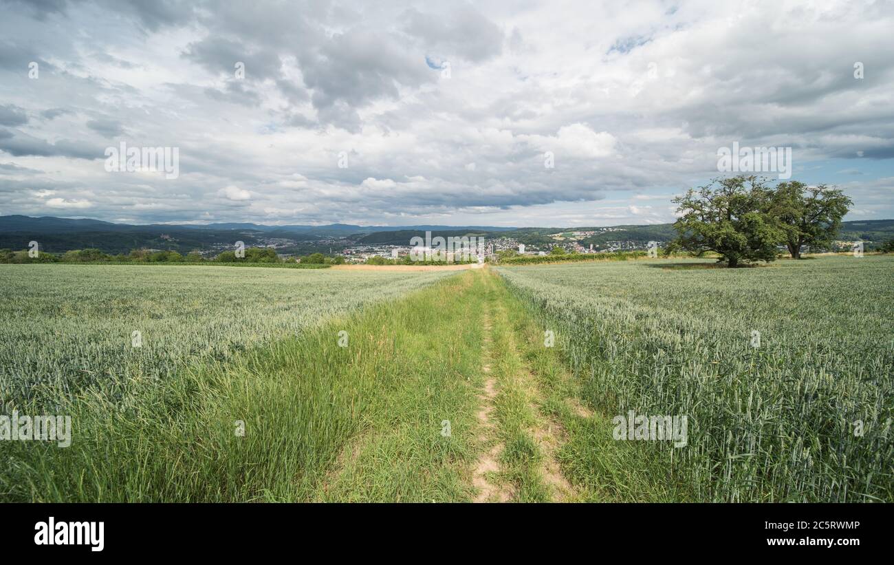nature landscape in southern germany wit big clouds, near lörrach Stock ...