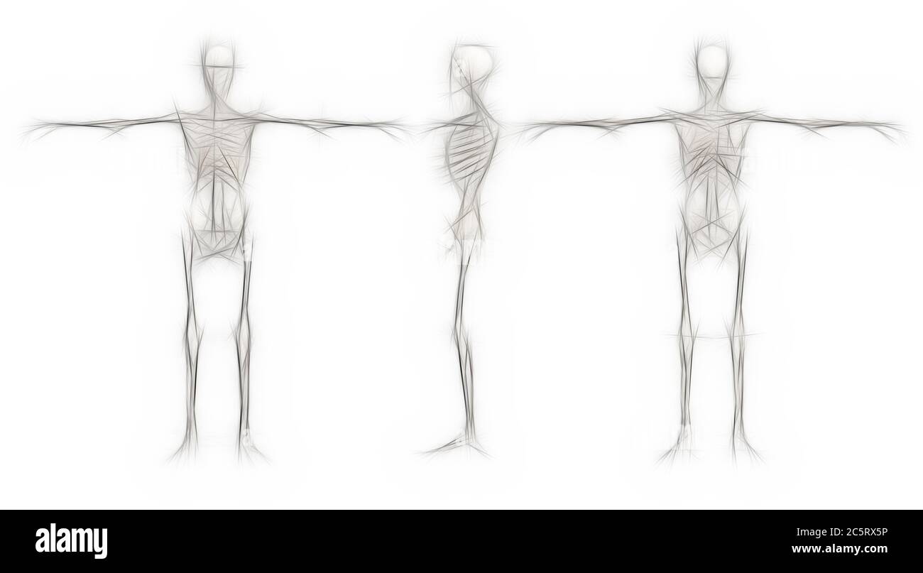 How to draw human anatomy program - lasopapanda