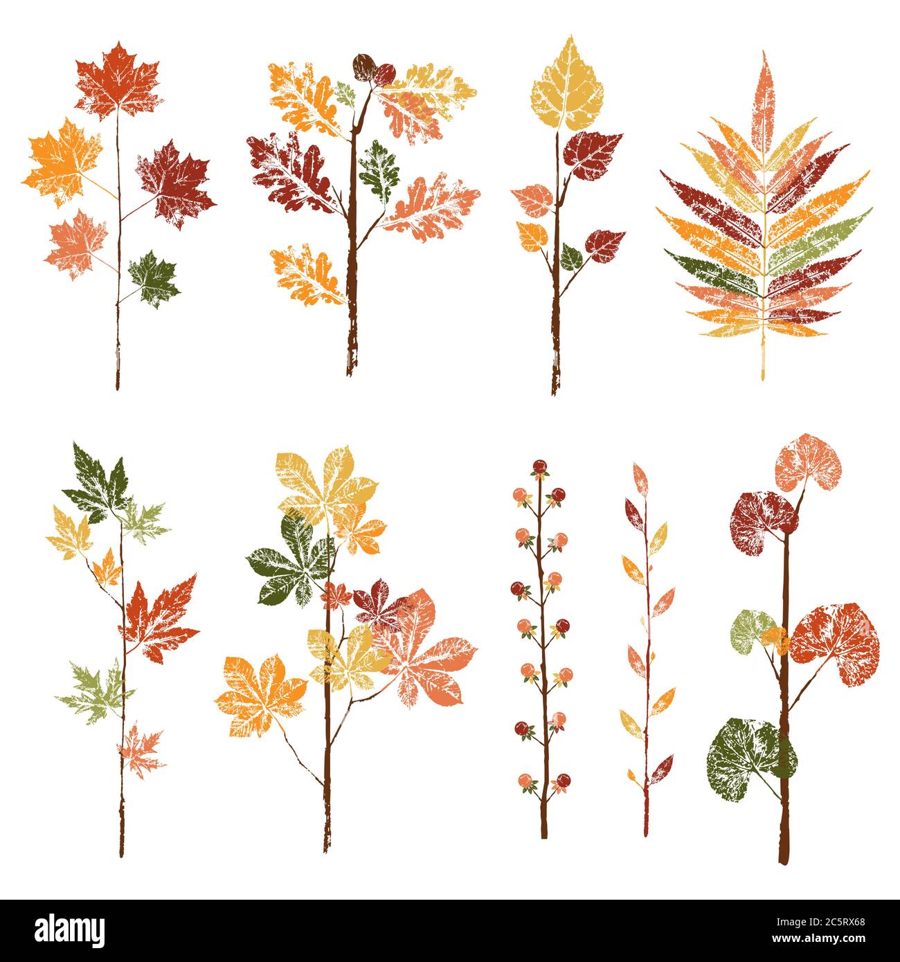 Set of curved twigs with autumn leaves, buds and flowers Stock Vector ...