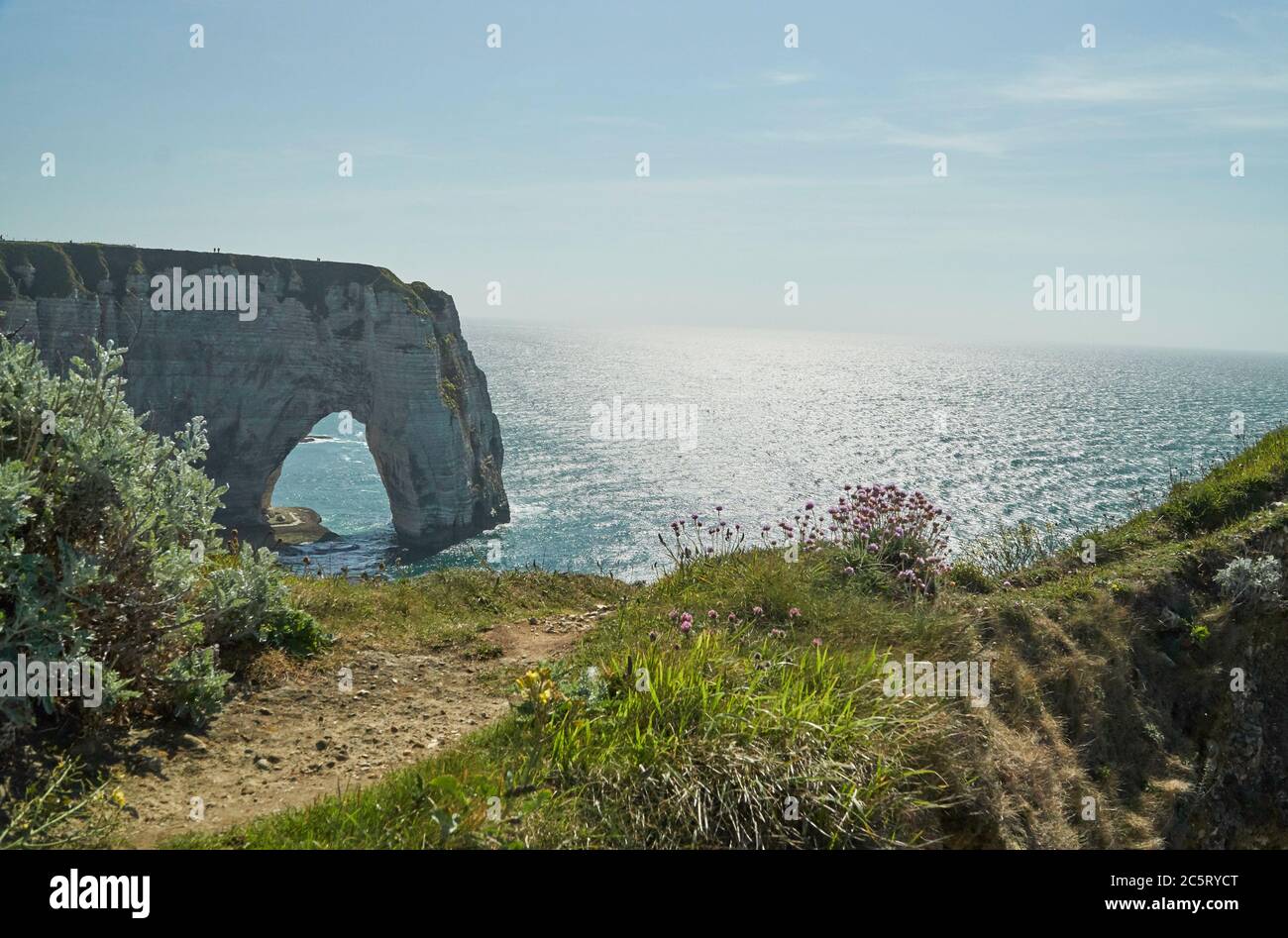 Flowers in front of one the Etretat Arches Stock Photo - Alamy