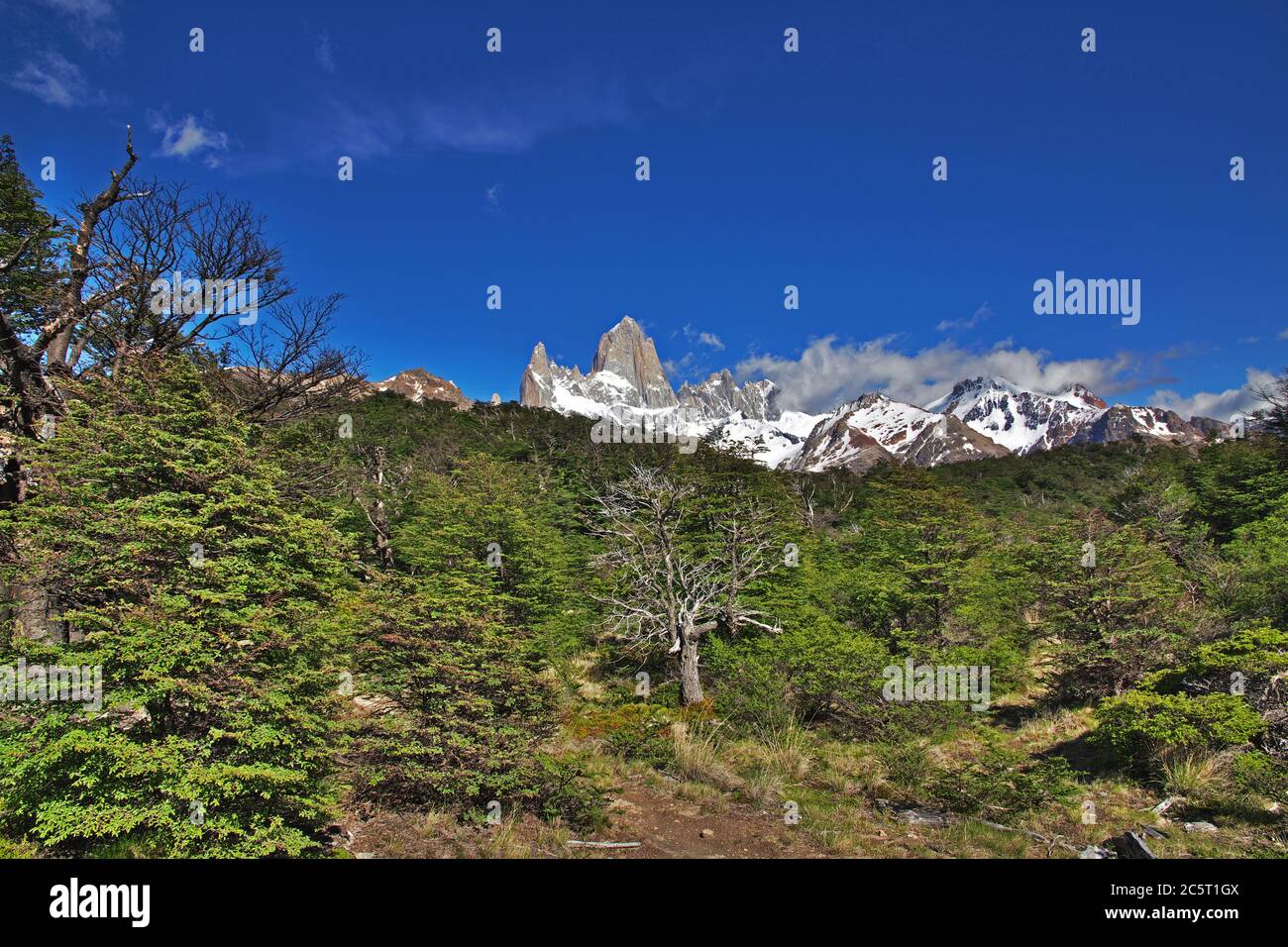 Fitz Roy mount, El Chalten, Patagonia, Argentina Stock Photo - Alamy