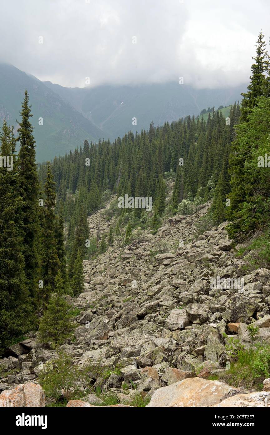 Alpine forests hi-res stock photography and images - Alamy