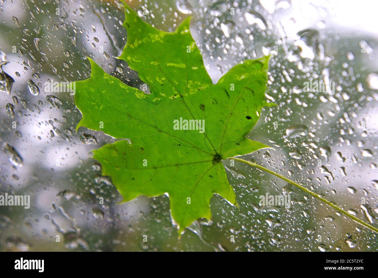 Rain falling in glass window hi-res stock photography and images - Alamy