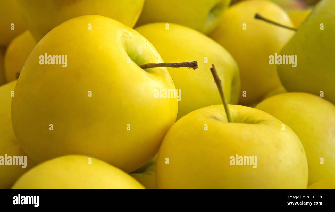 Lots of Yellow ripe apples background Stock Photo - Alamy