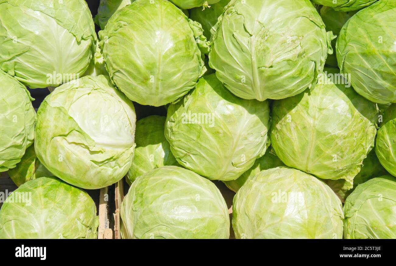 Fresh Green Cabbage background on the street market Stock Photo - Alamy