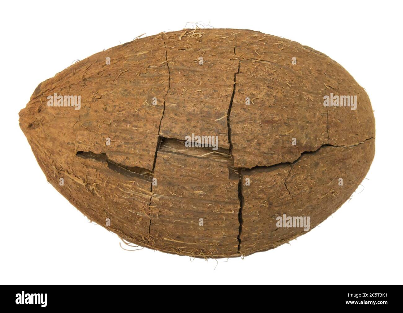 Coconut with crack isolated on white background Stock Photo - Alamy