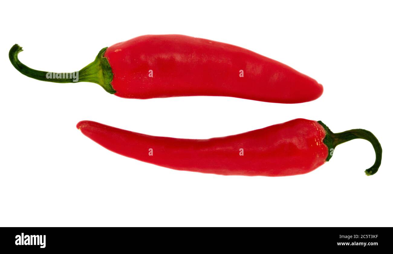 Two red chili peppers isolated on white. Clipping path included Stock ...