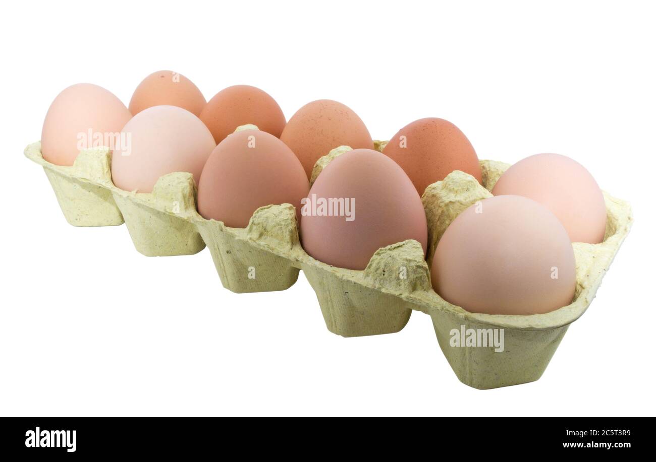 A carton of ten eggs isolated on white background. Clipping path ...