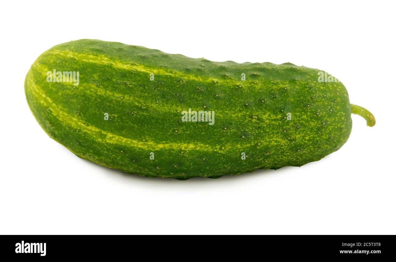 Cucumber with shadow over white background. Clipping path included ...