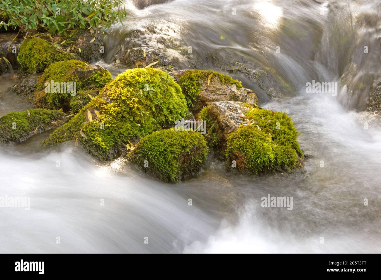 Fresh stream running over rocky hi-res stock photography and images - Alamy
