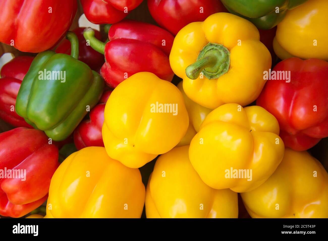 Red, green and yellow sweet bell peppers natural background Stock Photo ...