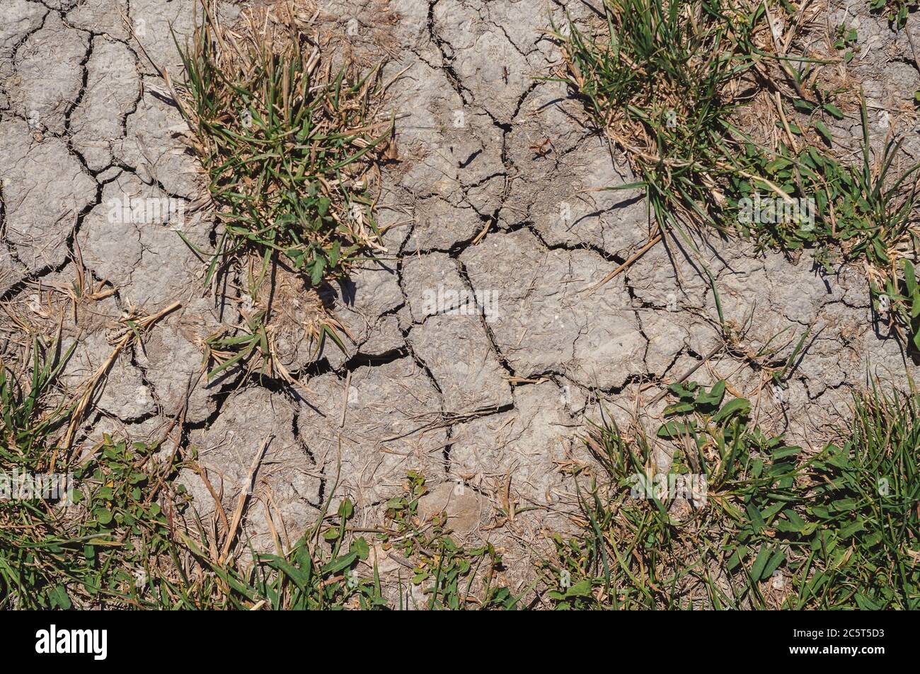 Dry land cracked earth. Texture, background, pattern. Arid land ...
