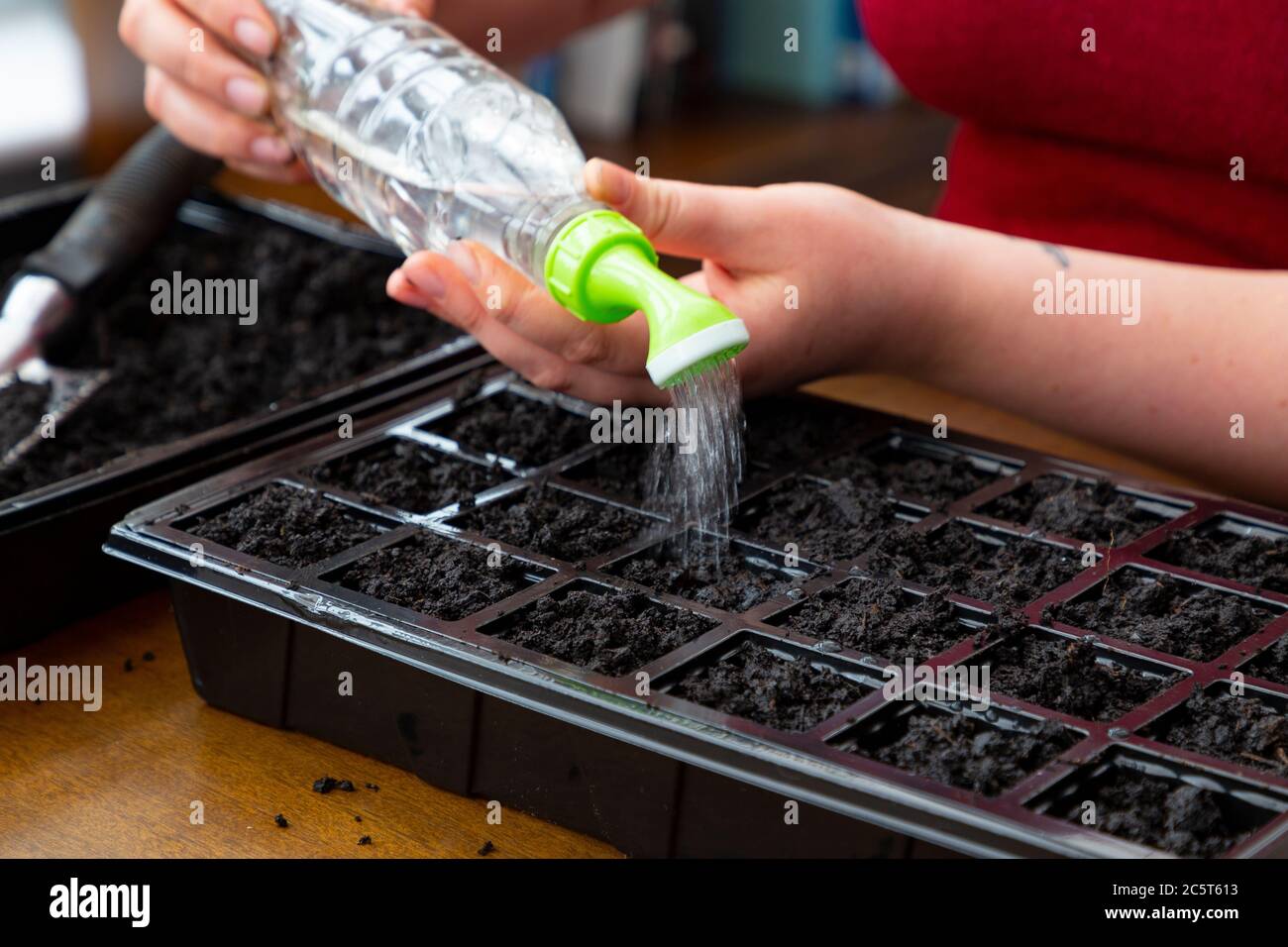 Watering bean hi-res stock photography and images - Alamy