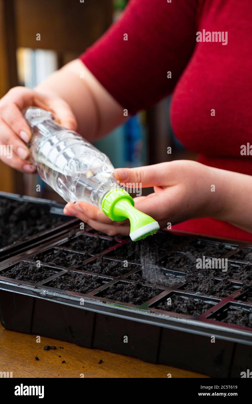 Watering bean hi-res stock photography and images - Alamy