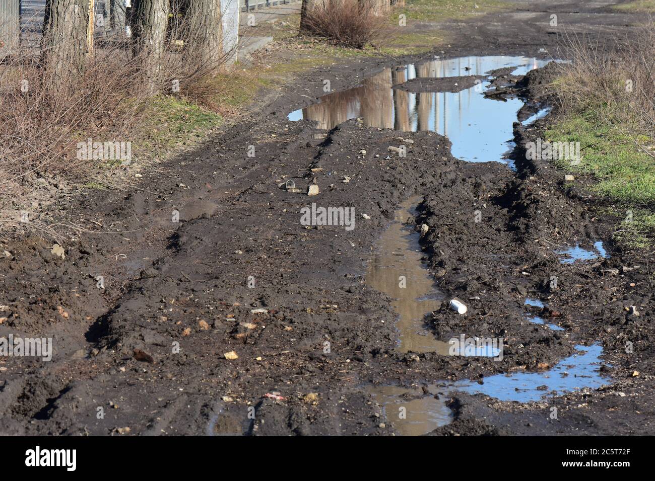 Puddles in mud Stock Photo - Alamy