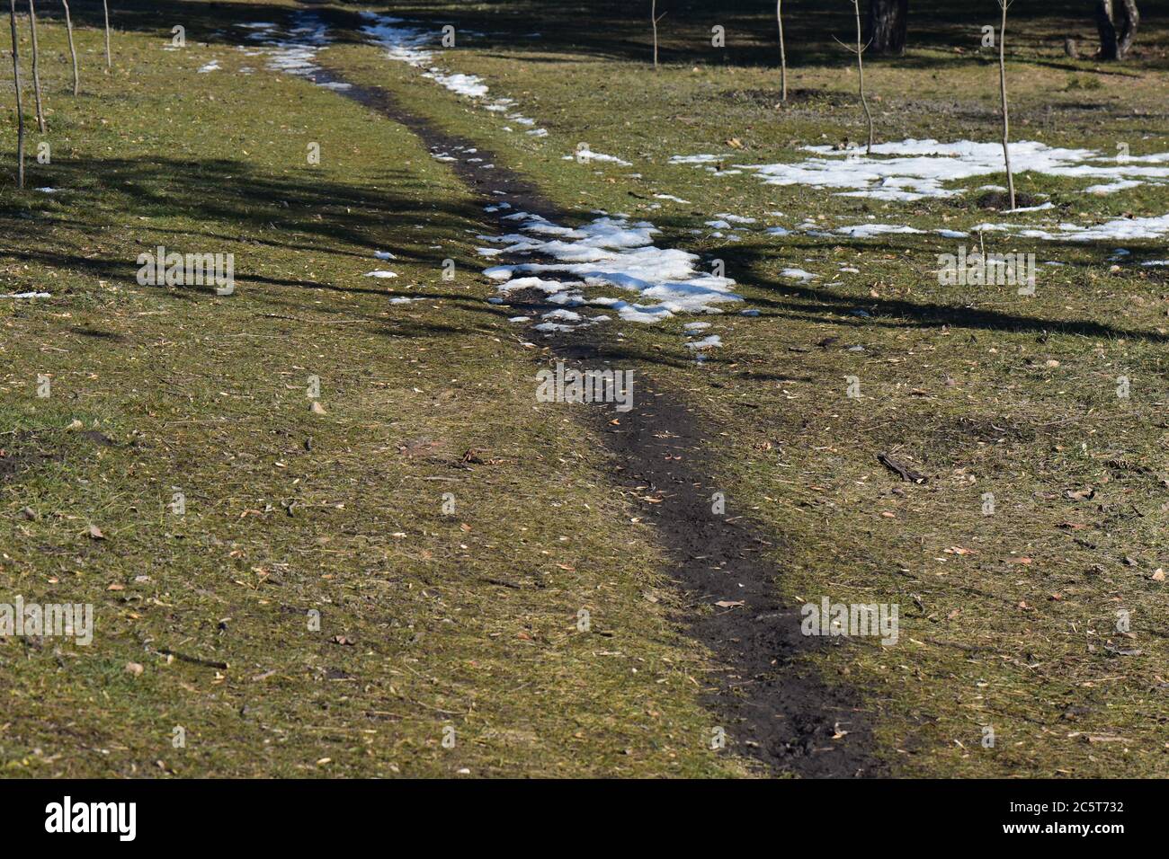 Puddles in mud Stock Photo - Alamy