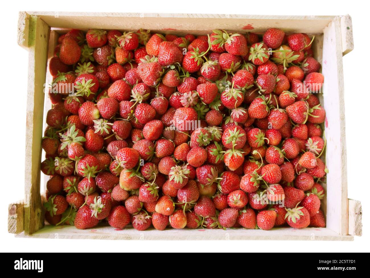 Strawberries in a big wooden box isolated on white. Clipping path ...