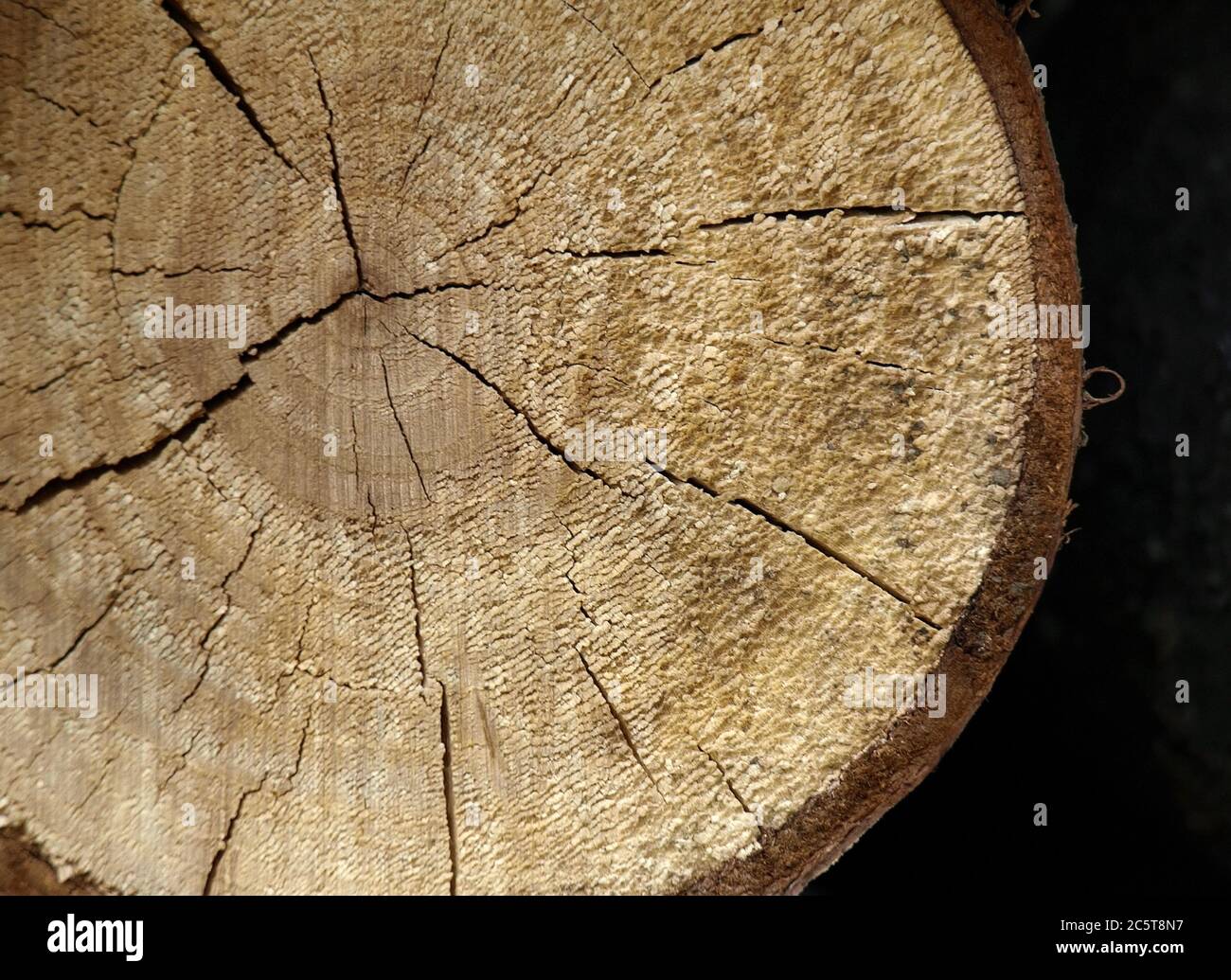 Cut log, background of wooden cut texture Stock Photo - Alamy