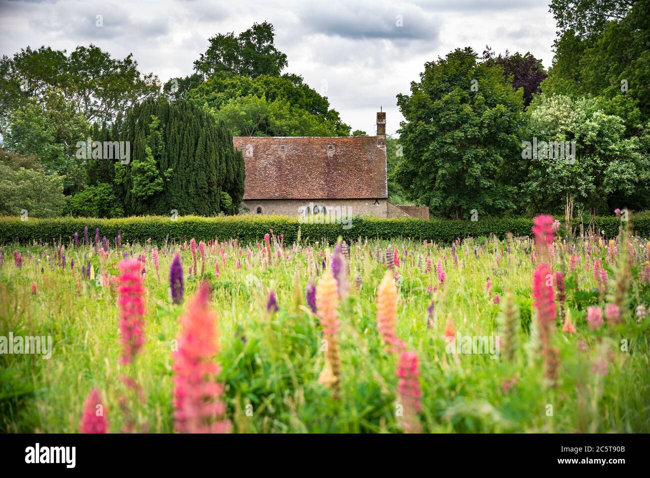 Depth of field technique hi-res stock photography and images - Alamy