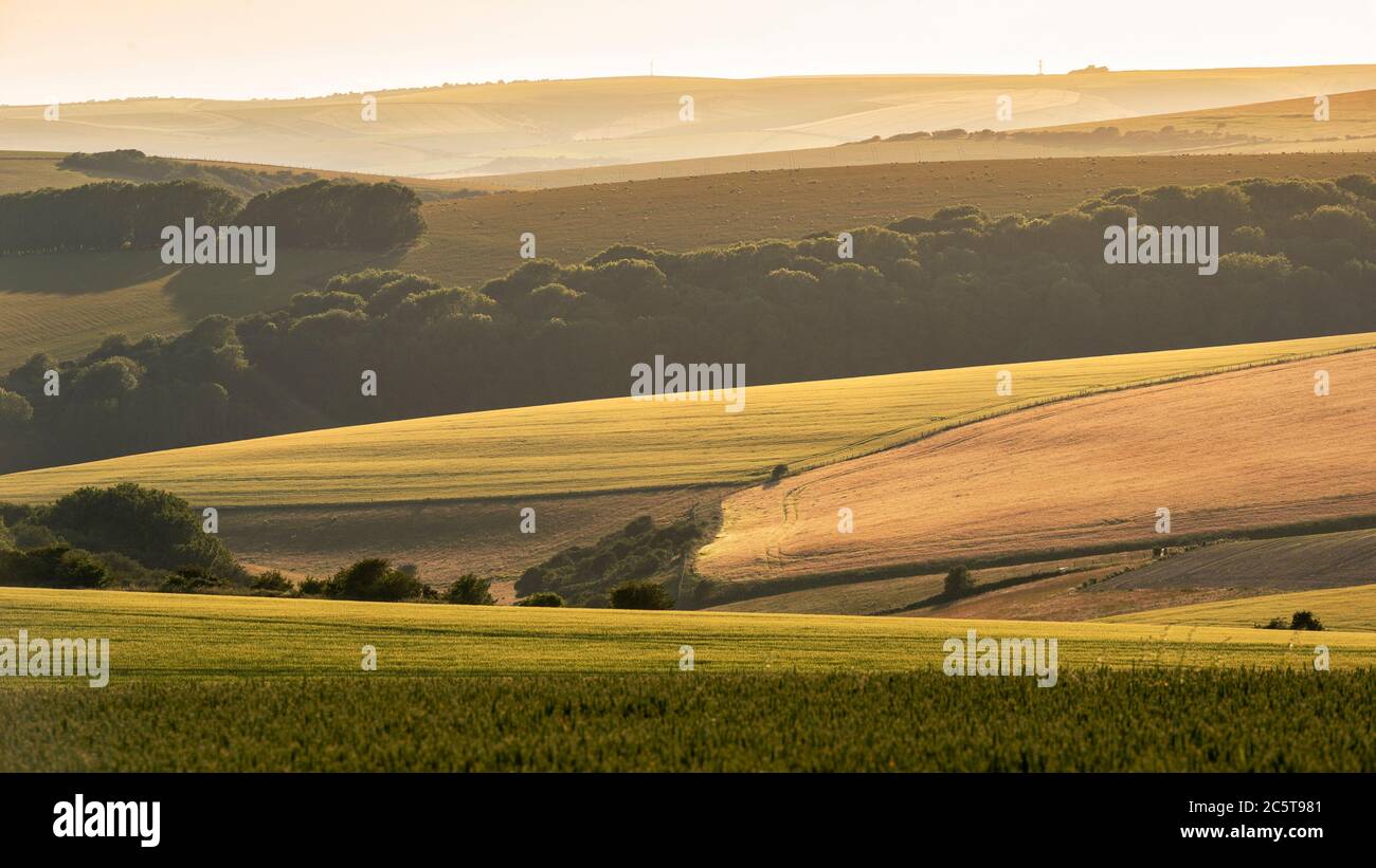 Beautiful late Summer afternoon light over rolling hills in English ...