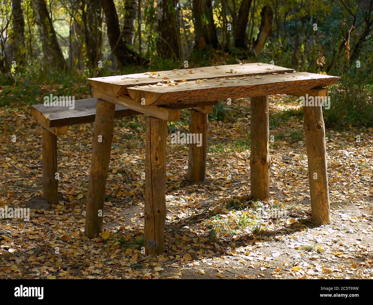 Wooden picnic table and bench in a forest at fall Stock Photo - Alamy