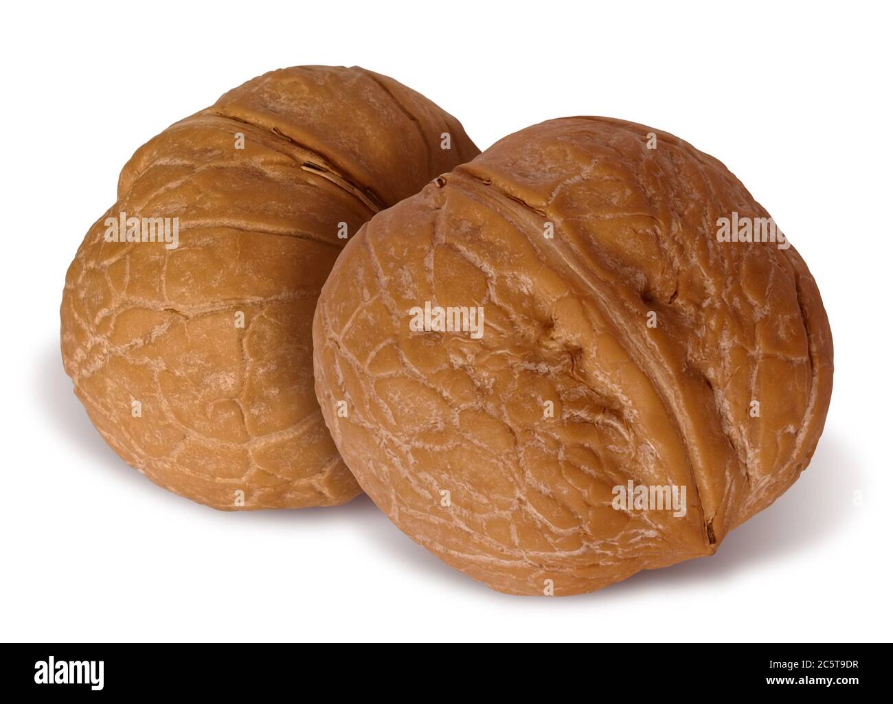 Two walnuts isolated on white background Stock Photo - Alamy