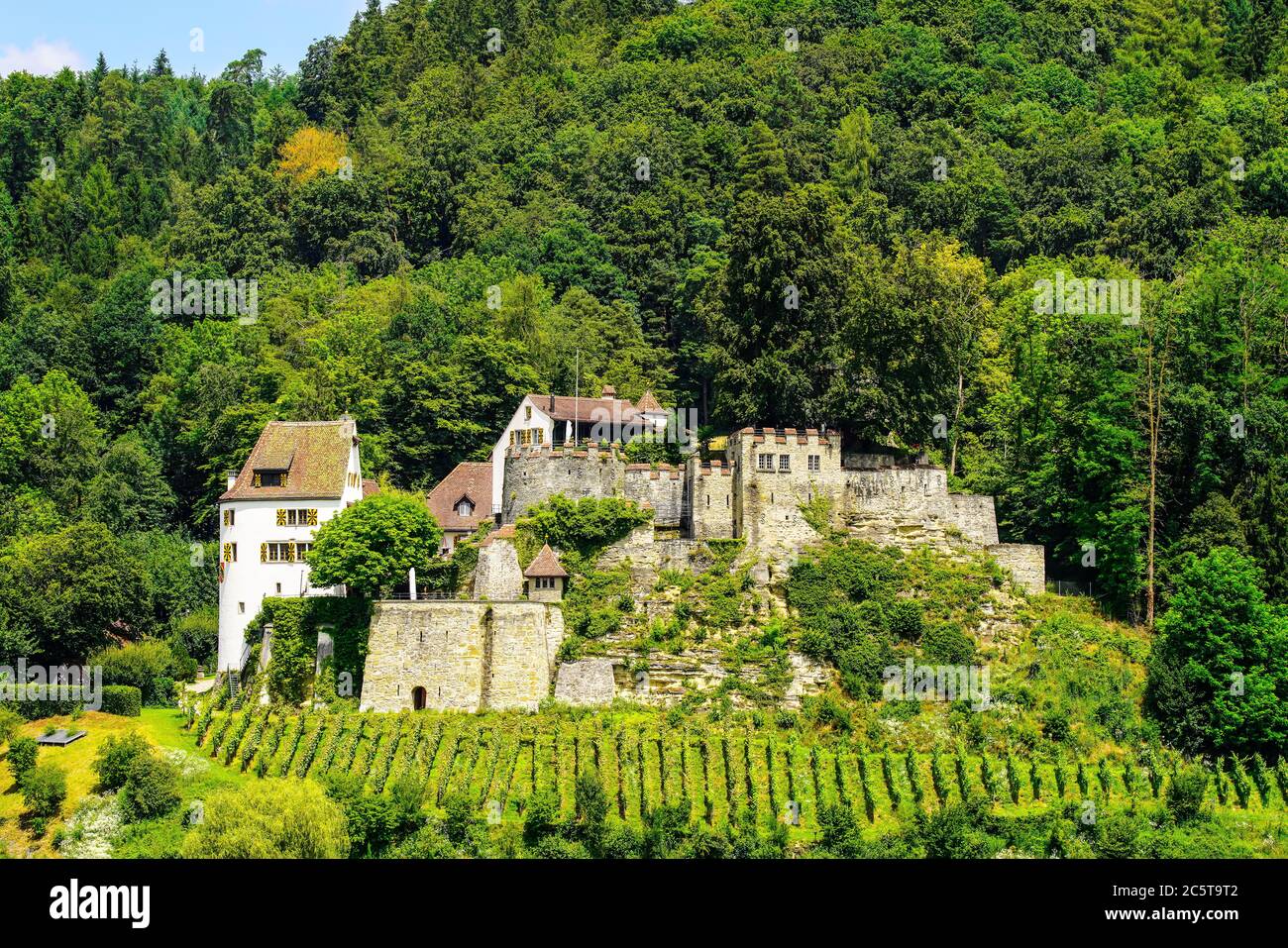 Trostburg castle hi-res stock photography and images - Alamy