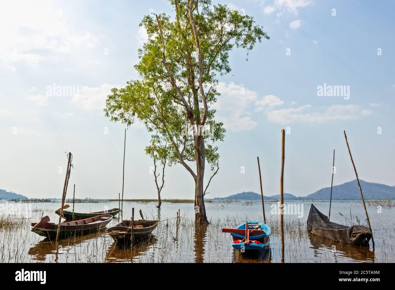 Landscape tree grow in water pond and blue sky with mountain back ...