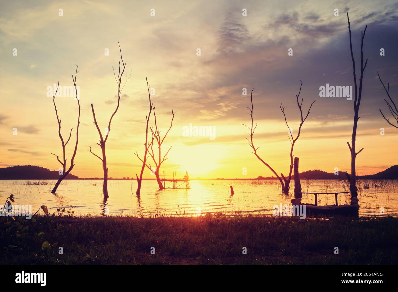 the tree , sun, cloud and water to be landscape. the mountain are ...