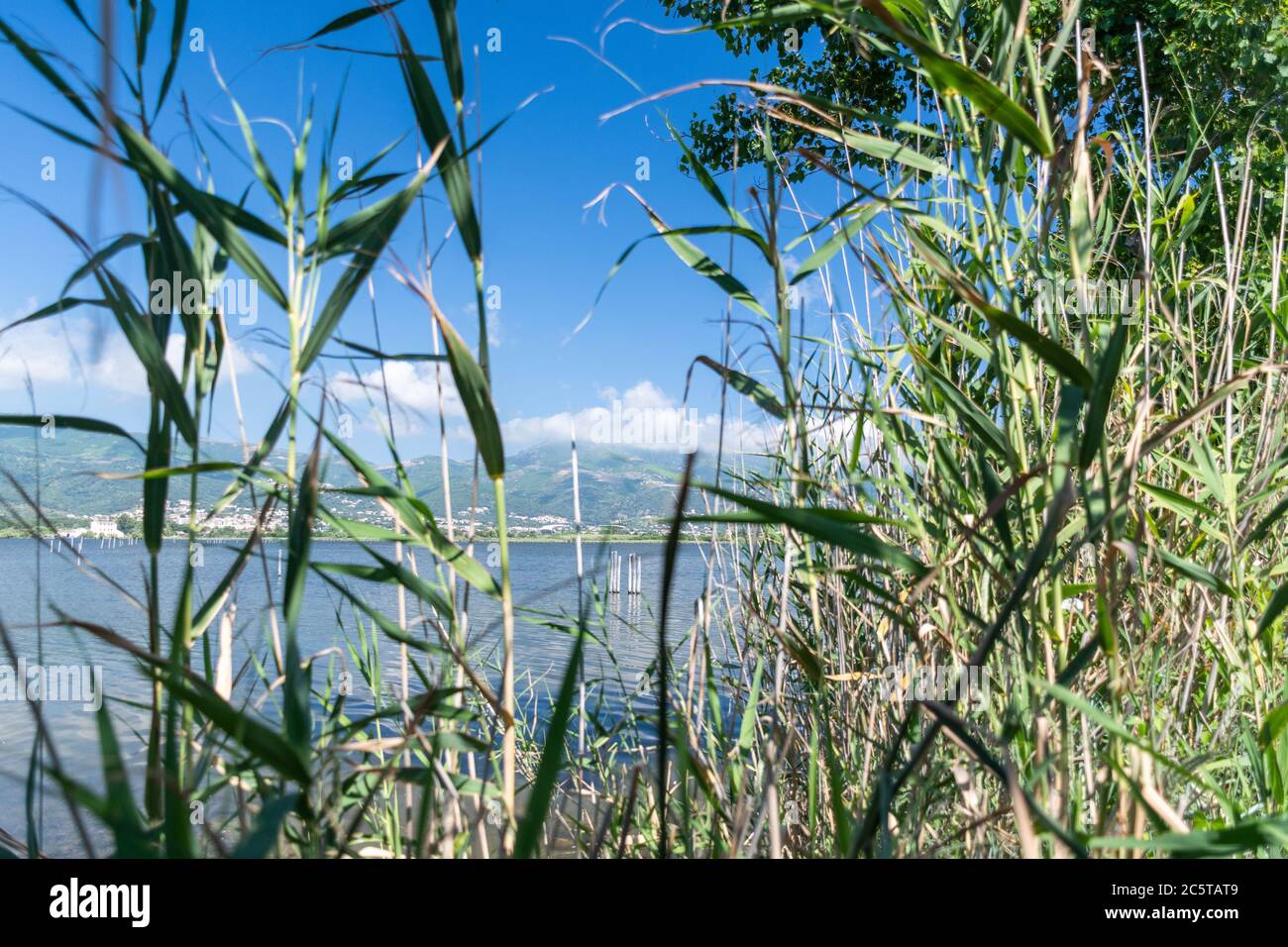 Biguglia lake hi-res stock photography and images - Alamy