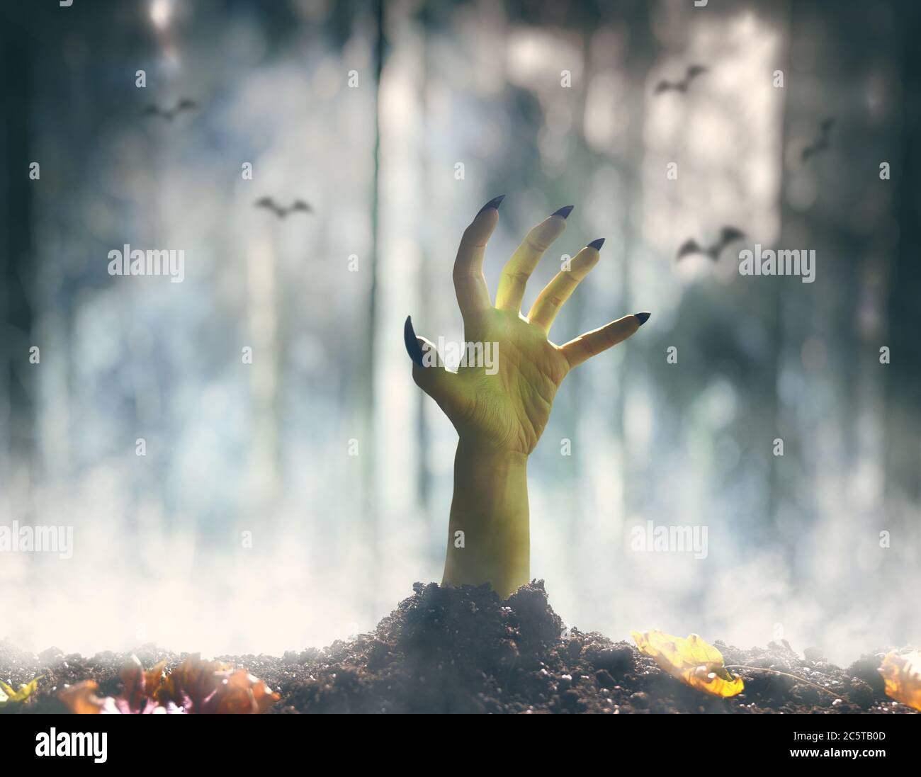 Zombie hand out of ground hi-res stock photography and images - Alamy