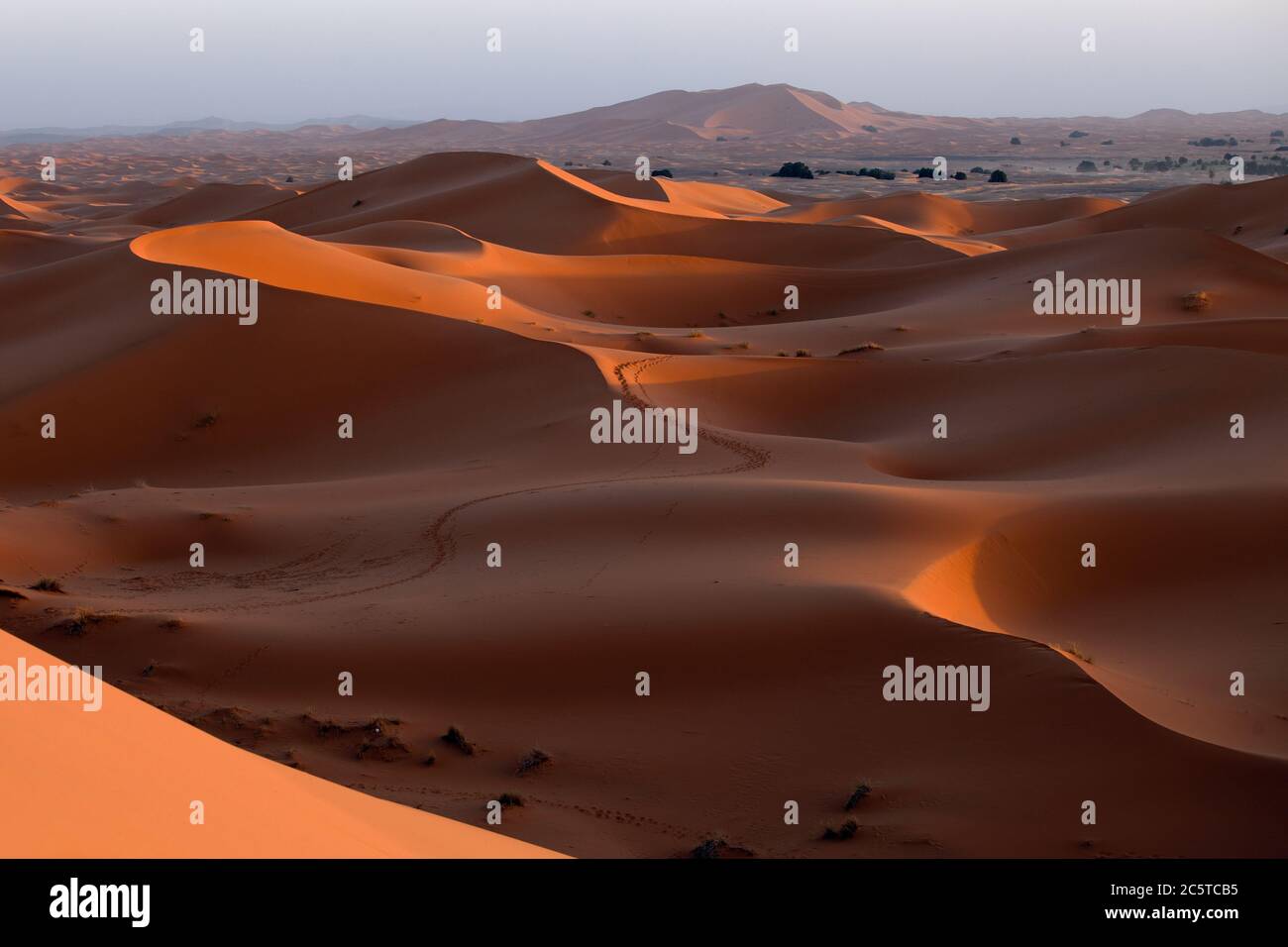 Erg chebbi dunes view hi-res stock photography and images - Alamy
