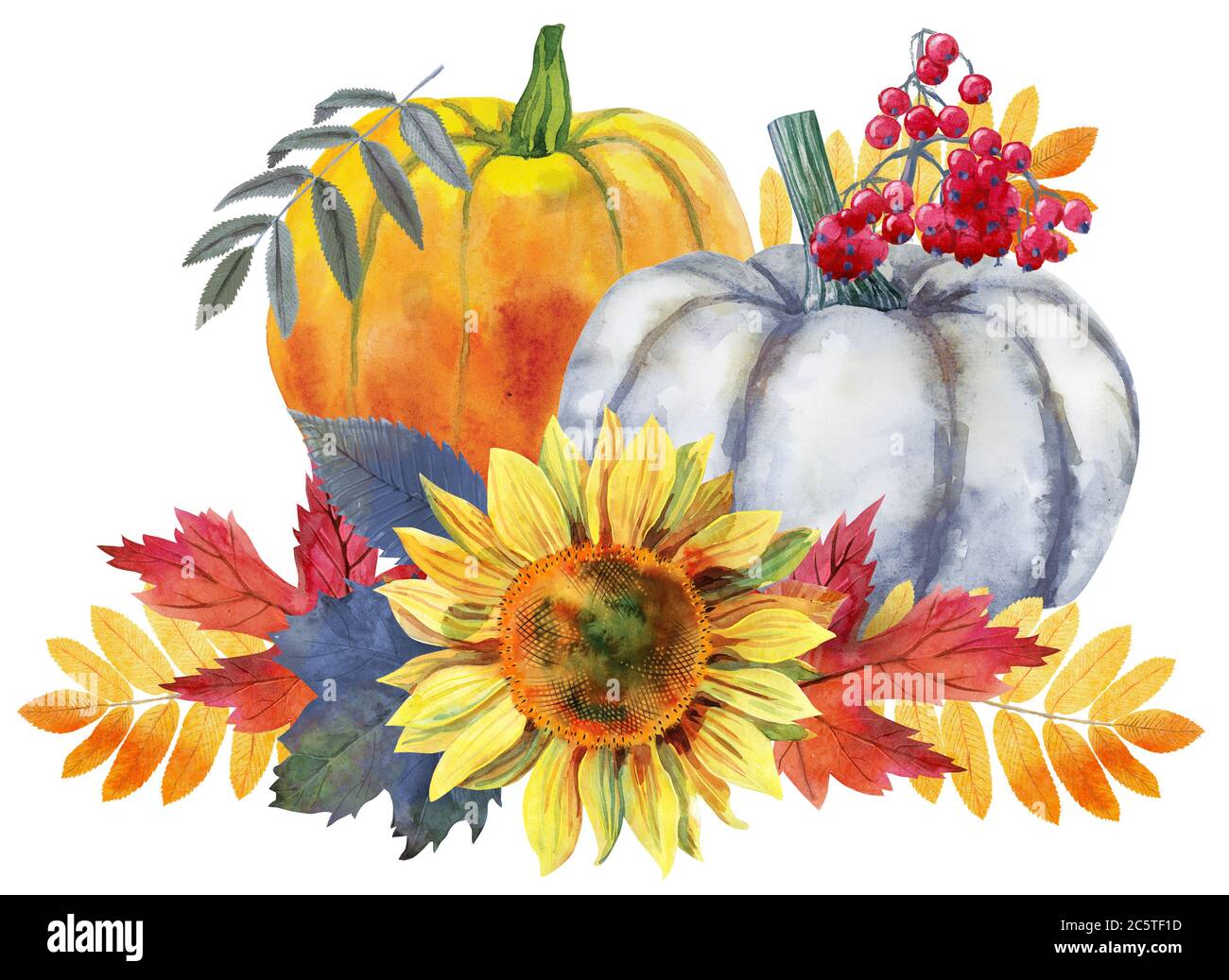 Fall border art Cut Out Stock Images & Pictures - Alamy