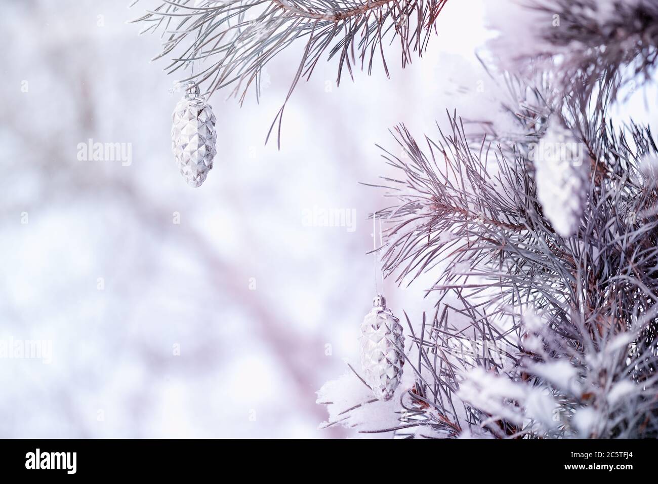 Decorative toy silver bump on the branch of a Christmas tree with snow ...