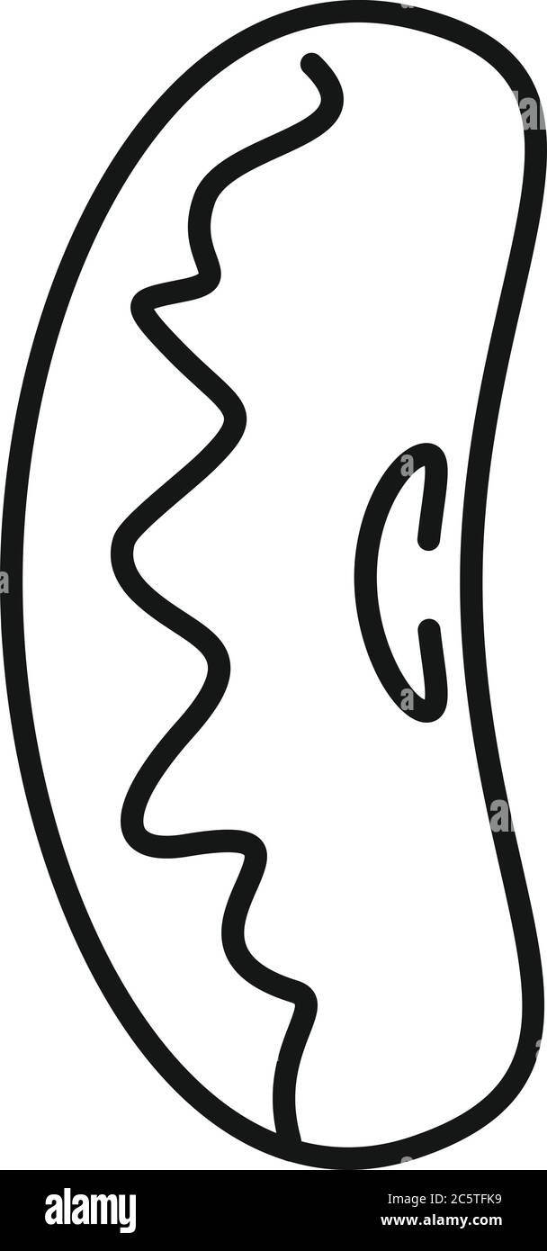 Legume kidney bean icon. Outline legume kidney bean vector icon for web ...