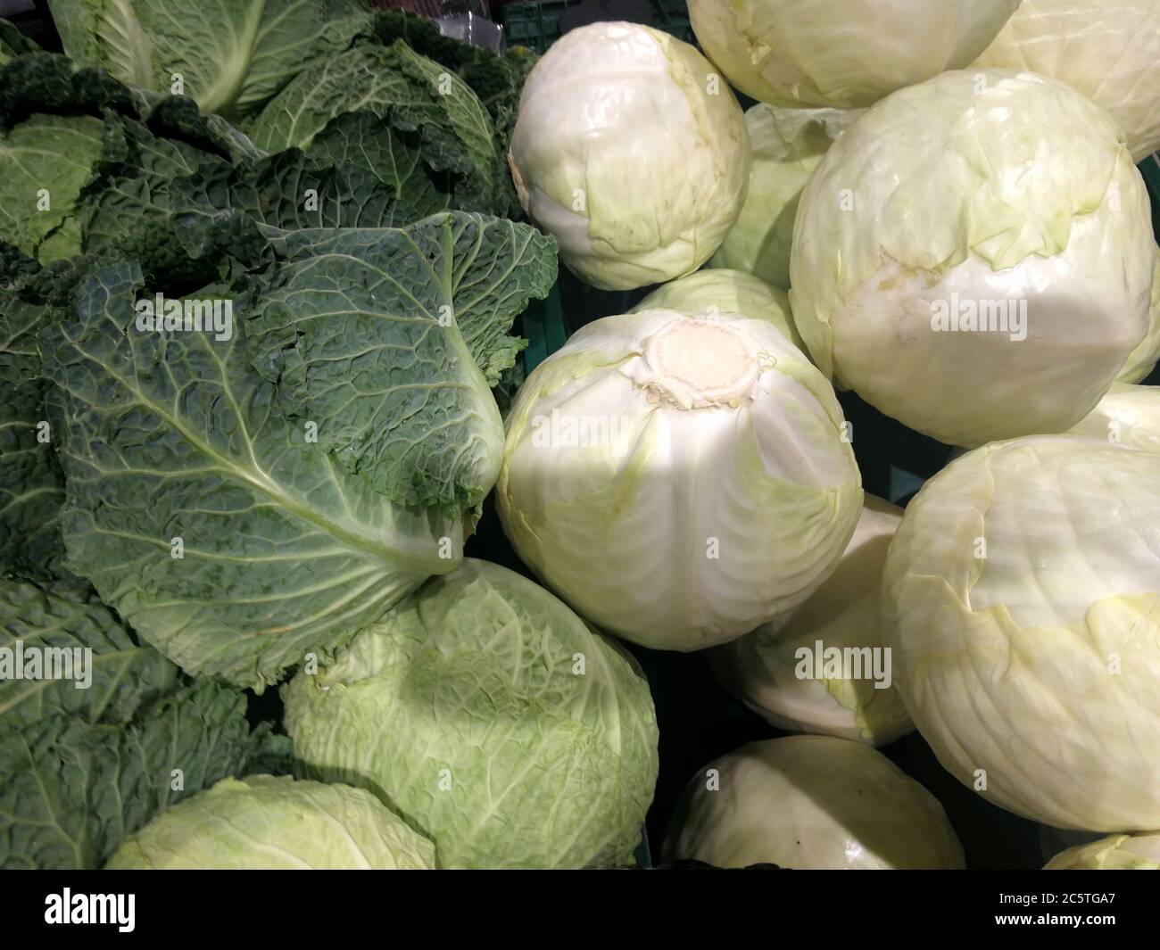 Vegetable - cabbage and savoy cabbage Stock Photo - Alamy