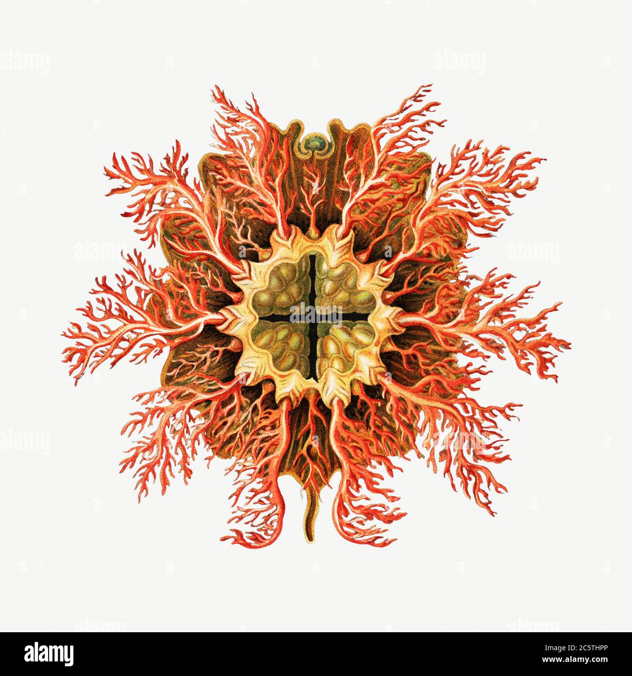 Undersea research hi-res stock photography and images - Alamy