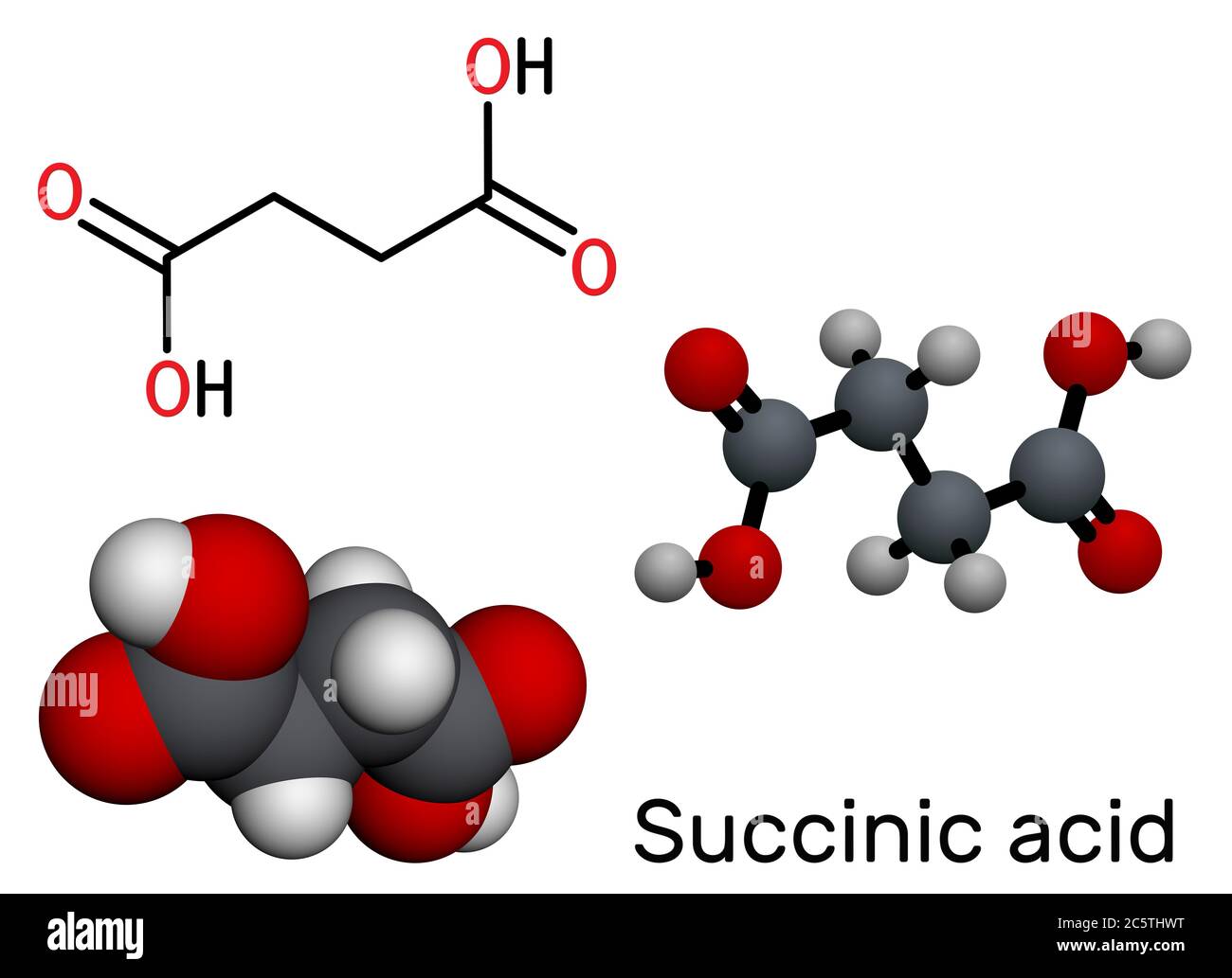Succinic acid, butanedioic acid, C4H6O4 molecule. It is food additive ...