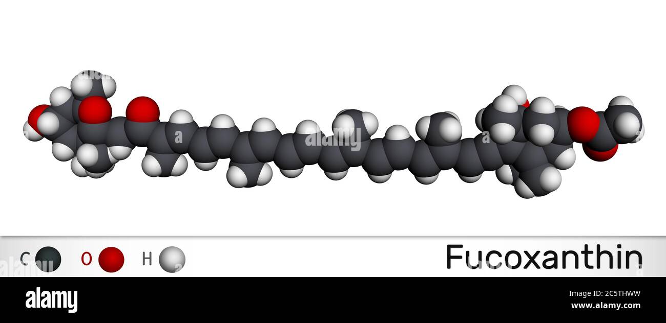 Fucoxanthin, C42H58O6, xanthophyll molecule. It has anticancer, anti ...
