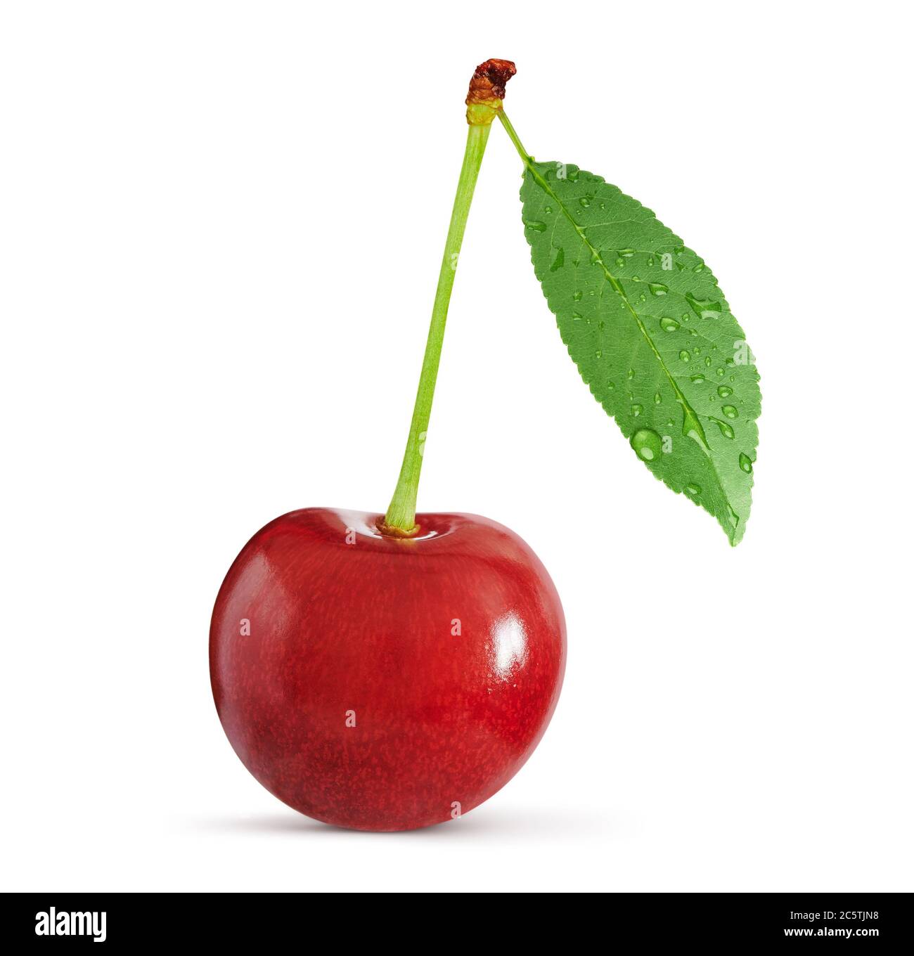 One fresh red cherry with green leaf isolated on white background ...