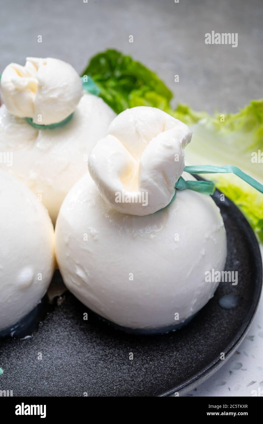 Cheese collection, fresh soft Italian cheese from Puglia, white balls ...