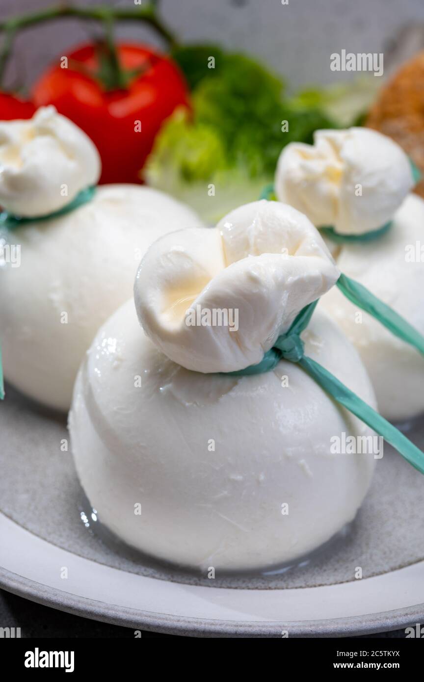 Cheese collection, fresh soft Italian cheese from Puglia, white balls ...