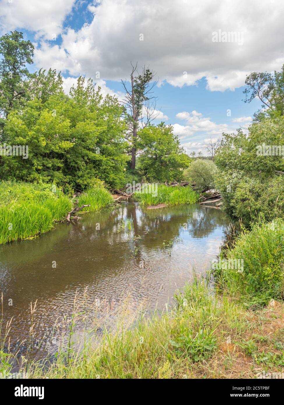 Swider river hi-res stock photography and images - Alamy