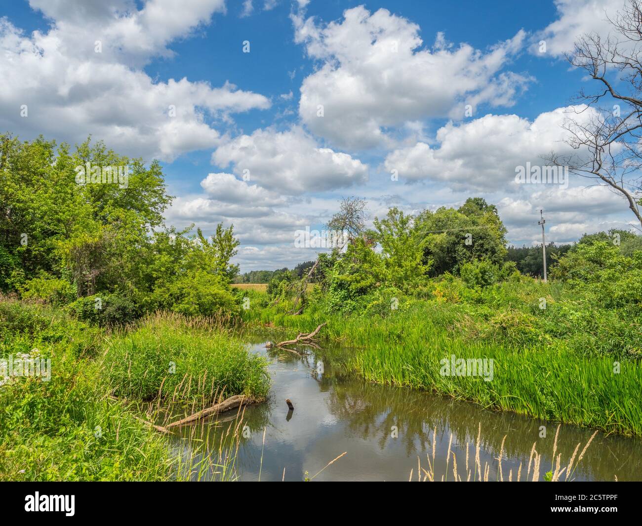 Swider river during the springtime. Poland. Natura 2000 Stock Photo - Alamy
